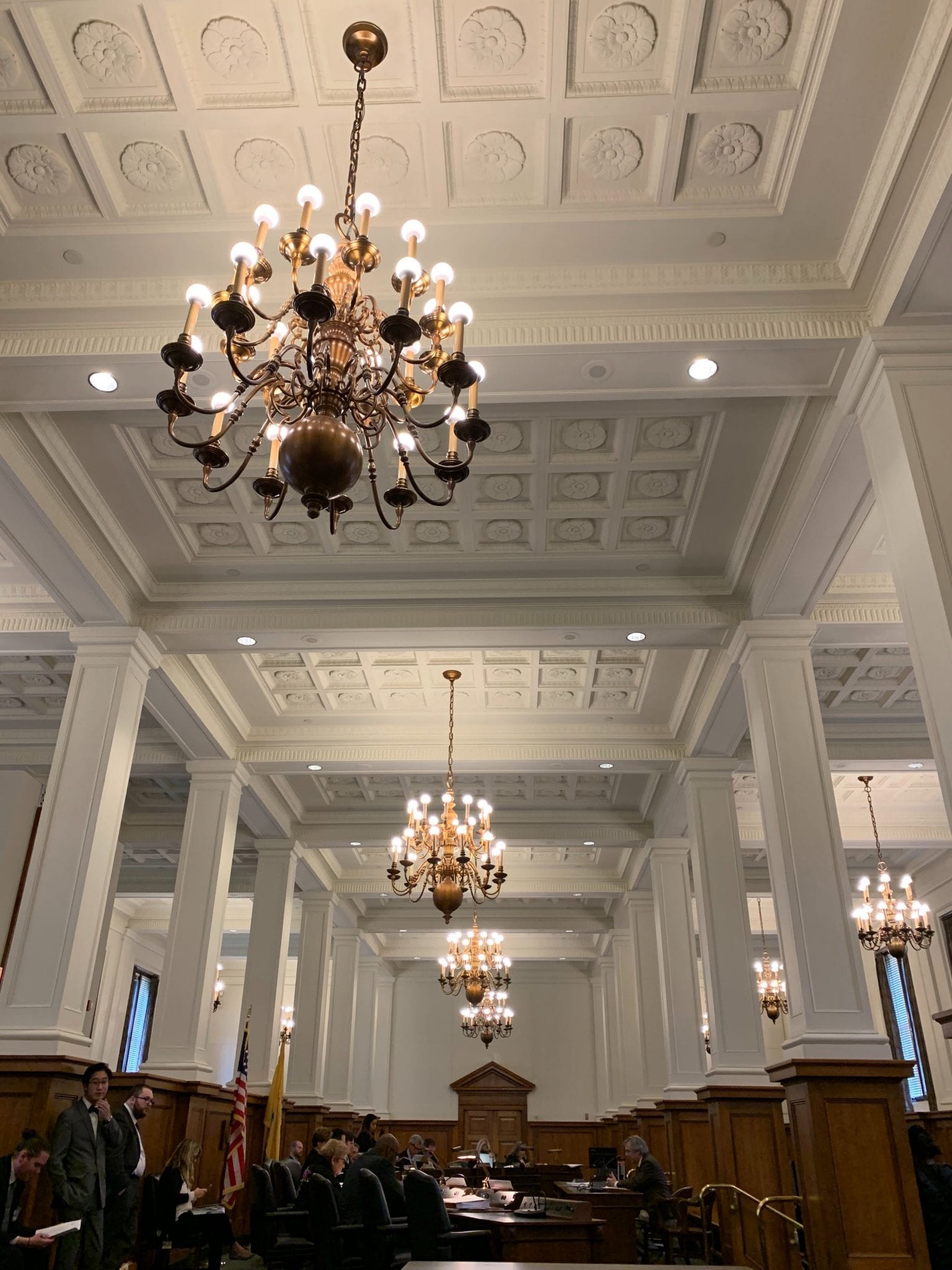 My Experience at a State Senate Meeting - The Lesniak Institute for ...